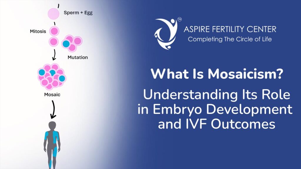 What Is Mosaicism? Understanding Its Role in Embryo Development and IVF ...