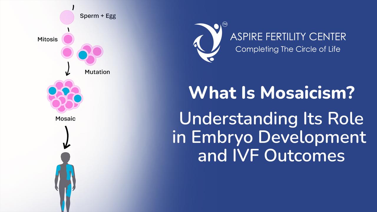What Is Mosaicism? Understanding Its Role in Embryo Development and IVF Outcomes